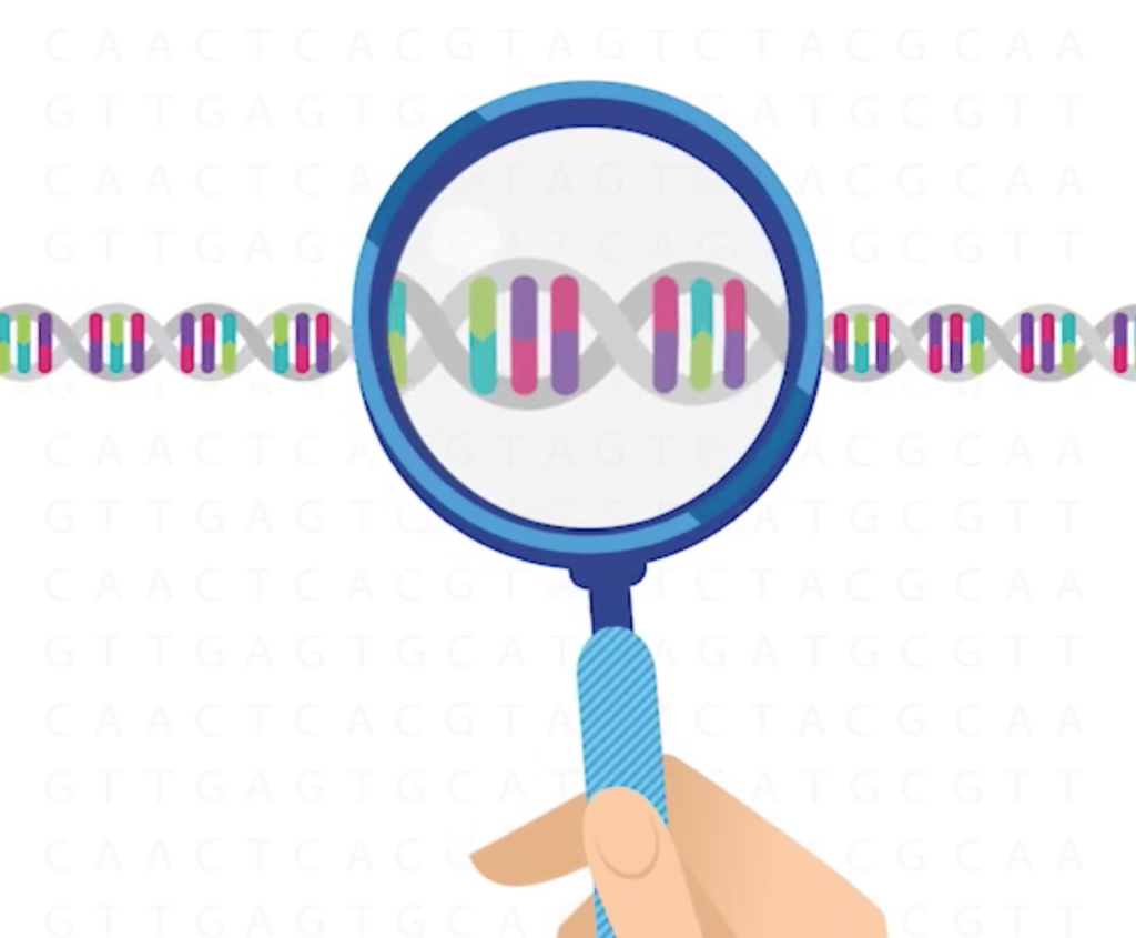 New ways to discover your DNA - 23andMe Blog